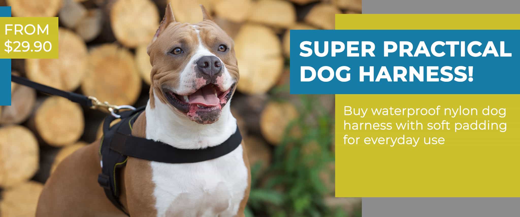 Bully Dog Harnesses, Collars, Leashes, Muzzles, Breed Information and ...